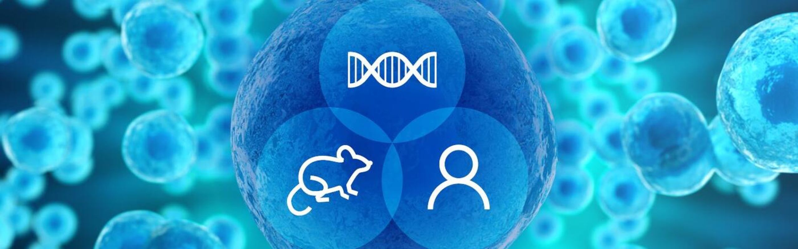 A Closer Look into Our Scientific Enterprise - The Wistar Institute