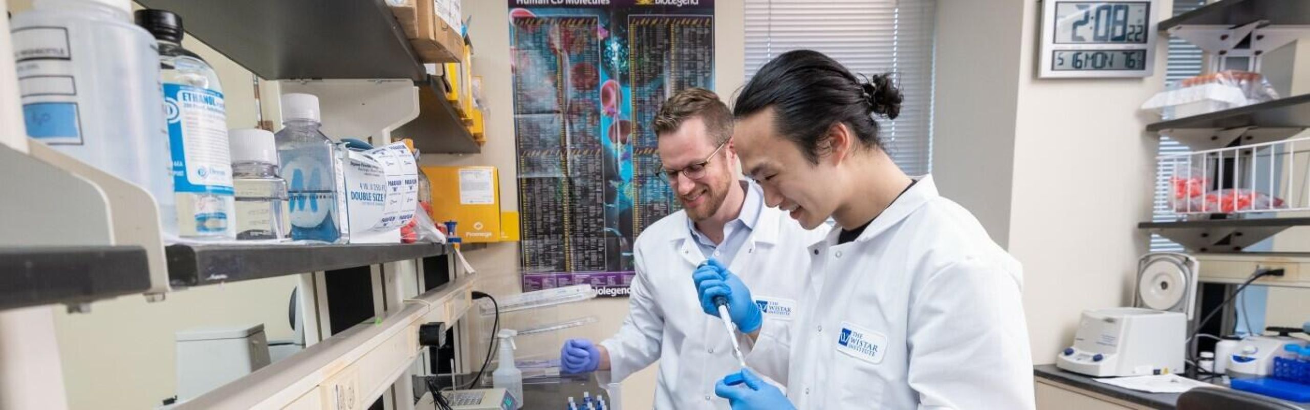 Wistar Institute HIV Researcher Wins Two Grants to Explore Using CAR T Cells as HIV Therapy ...