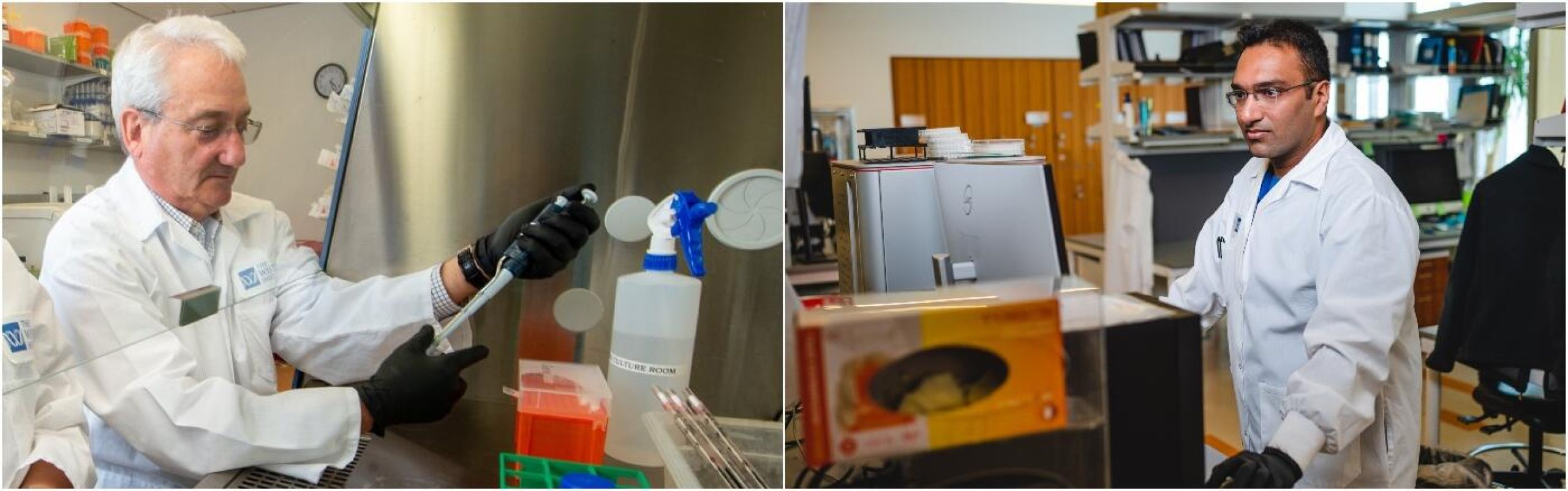 Up in (Antibody) Arms: Synthetic DNA Immunotherapy Platform Combats Brain Cancer - The Wistar ...