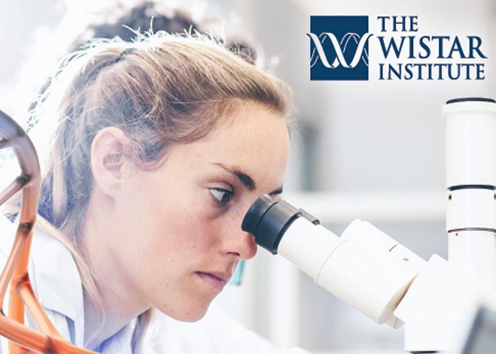Publications - The Wistar Institute