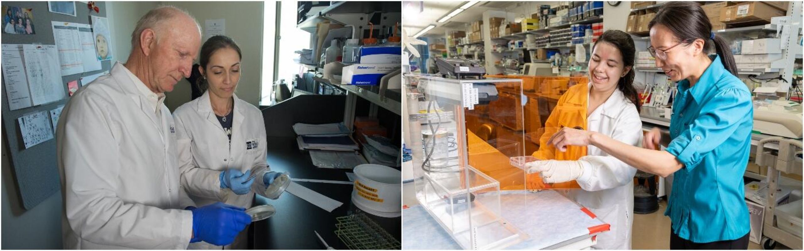 Unraveling The Enigmas of Melanoma - The Wistar Institute