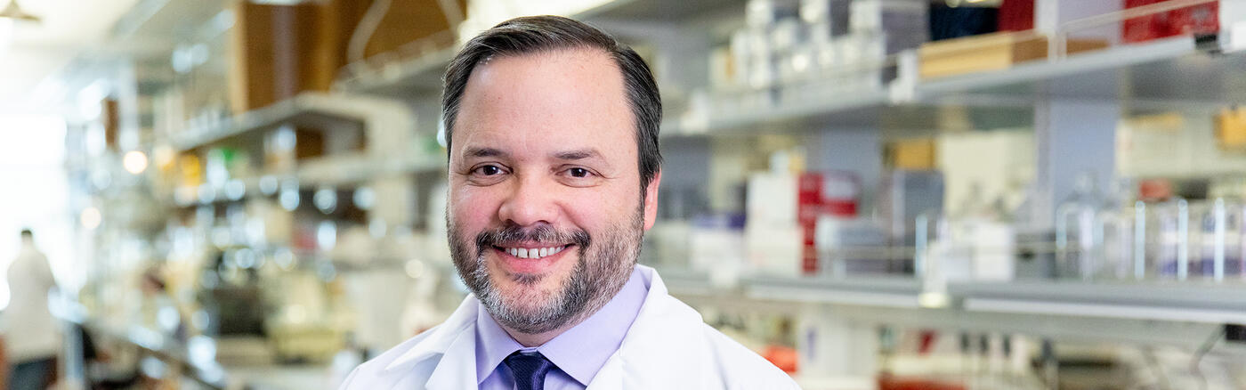 Progress Toward a Cure: A Conversation with Leading Wistar HIV Research ...