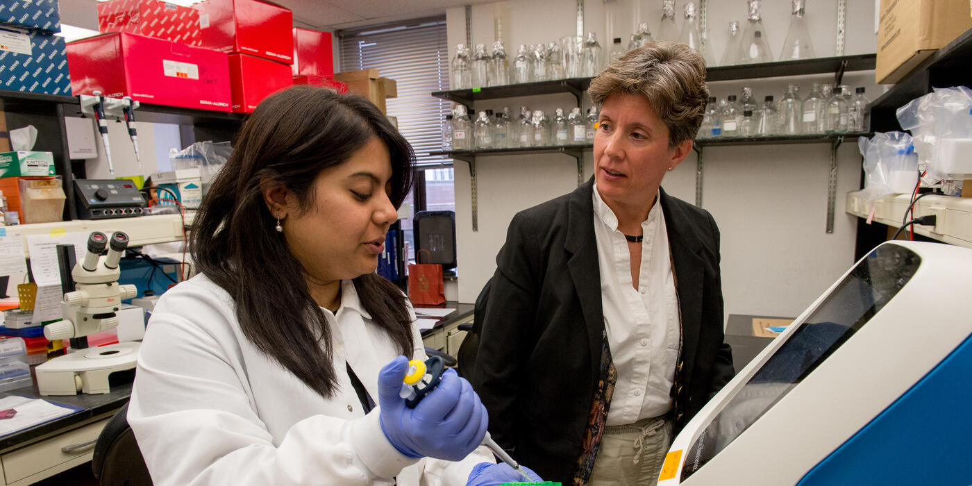 Wistar Institute’s Maureen Murphy Named Deputy Director of the Ellen ...