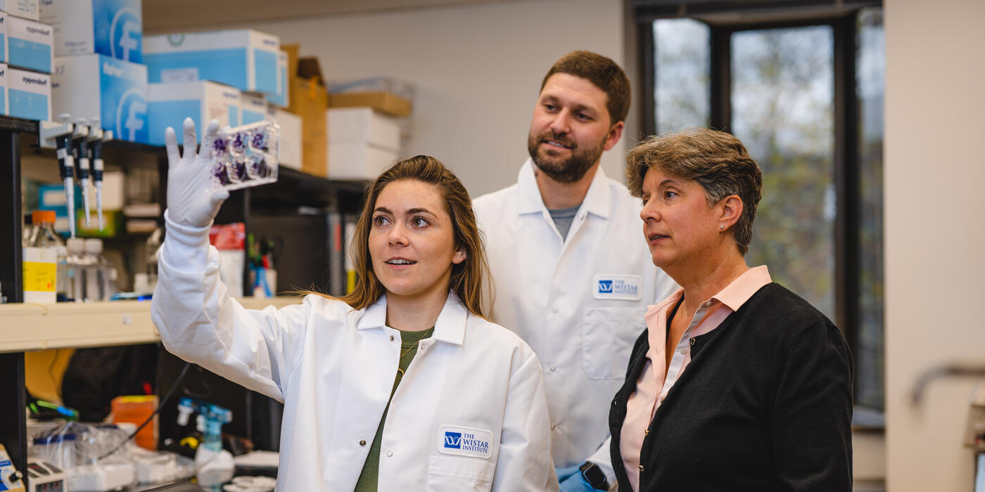 Wistar Scientists Identify a Gene Signature to Assess Cancer Risk - The Wistar Institute