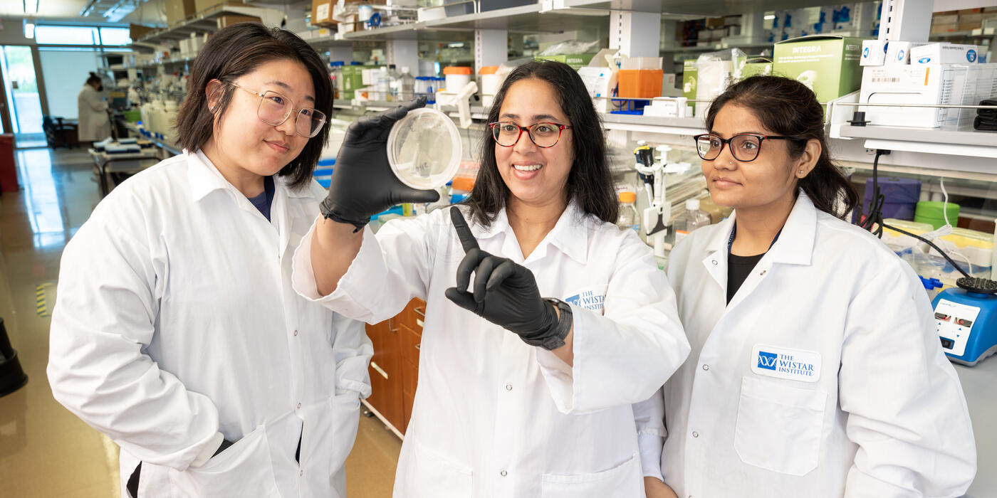 Wistar Research Experiences for Undergraduates (REU) Program