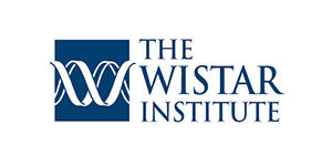 Wistar Logo Rats Of Wistar Game Review – Meeple Mountain