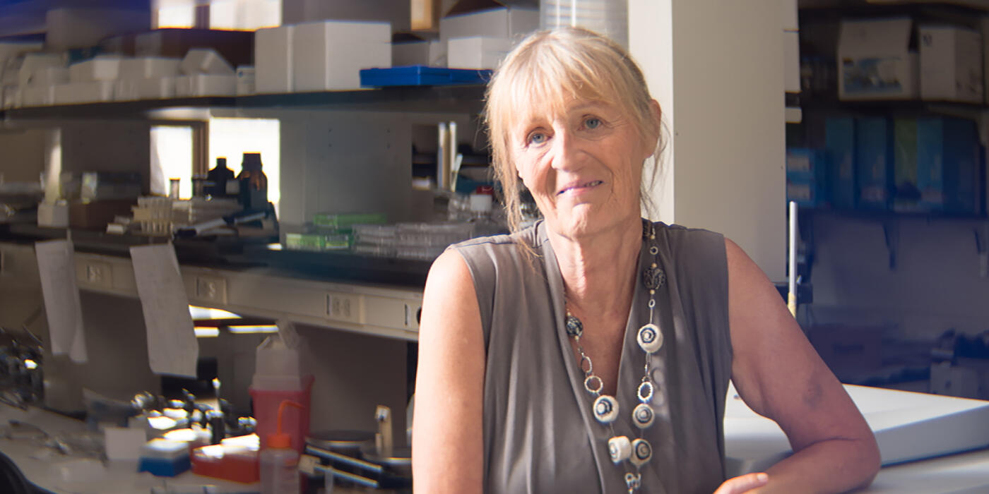 Wistar Scientists Enhance Cell-Based Therapy to Destroy Solid Tumors - The Wistar Institute