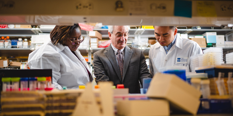 Wistar Scientists Develop Novel Antibody Treatment for Kidney Cancer ...