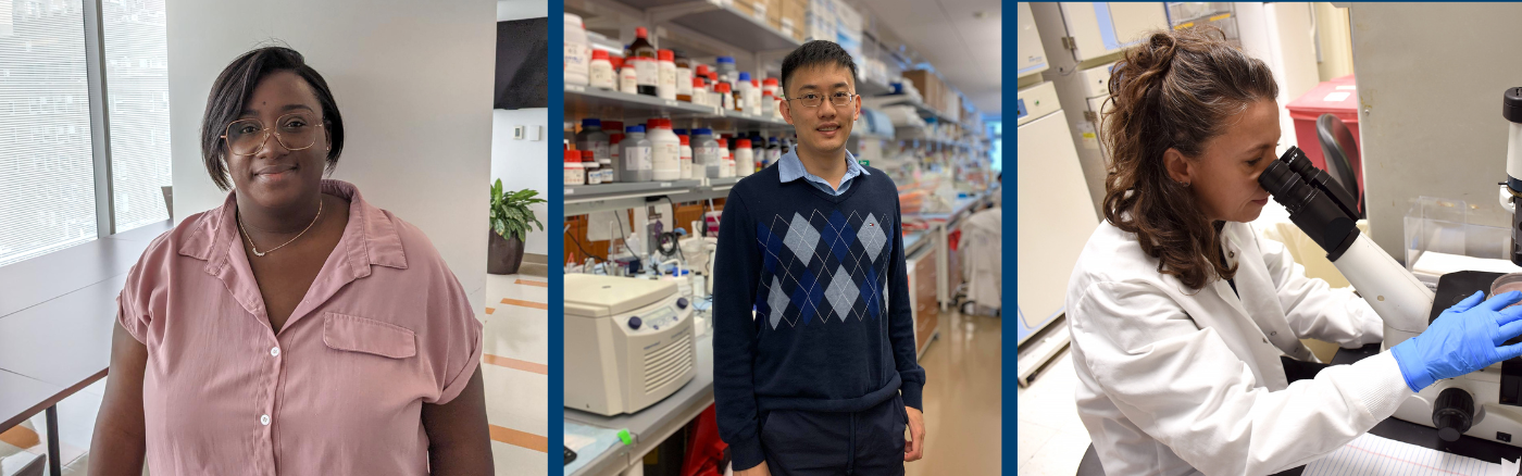 The Wistar Institute Announces Two New Internal Career Development Awards to Support Early ...